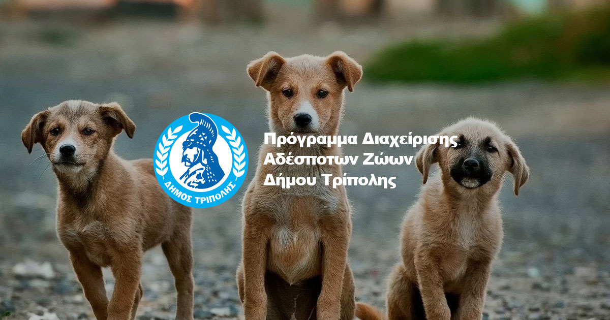 Πρόγραμμα Διαχείρισης Αδέσποτων Ζώων - Αδέσποτα Δήμου Τρίπολης